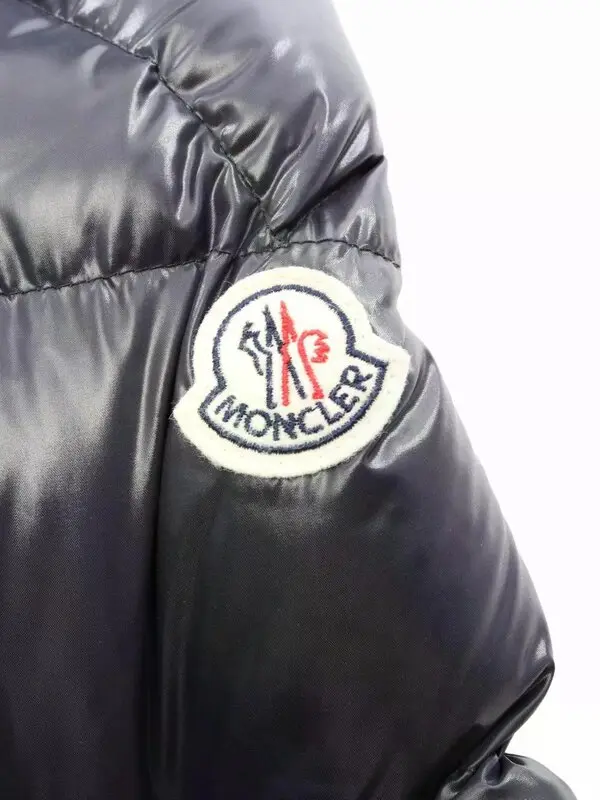 Moncler 2010s Blier Hooded Down Jacket