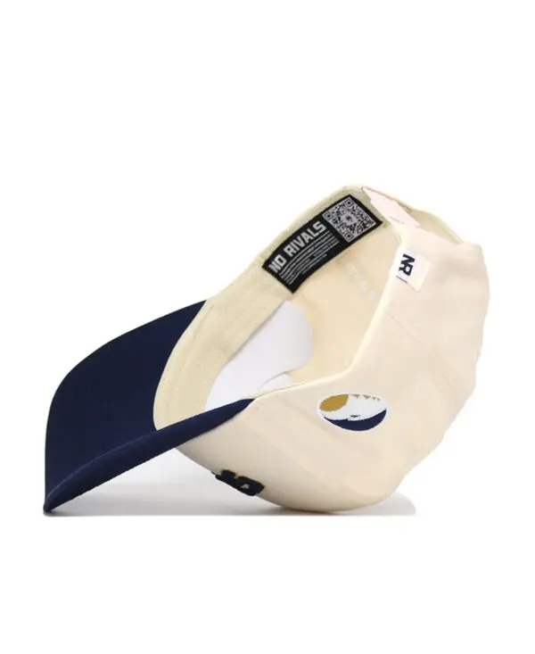 NO RIVALS Upside Down Eagles Georgia Southern Classic Colors Hat