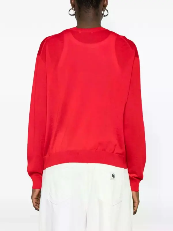 Liviana Conti V-neck Sweater