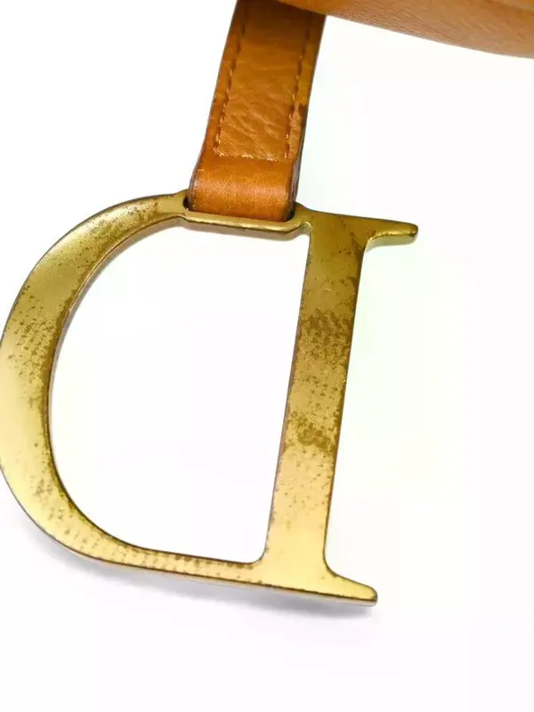 Dior Saddle Tote Bag
