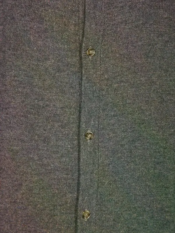 LARDINI Button-up Collar Cardigan