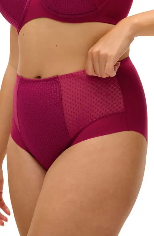 Fantasie Evolution Comfort High Waist Briefs - Ruby