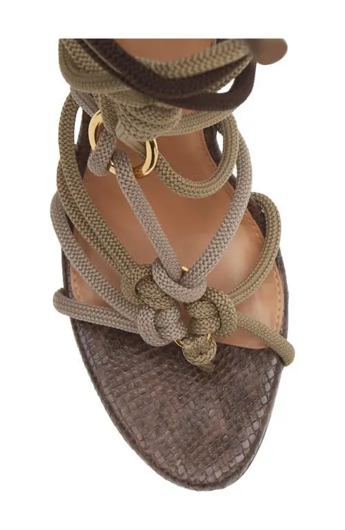 Steve Madden Catnyss Strappy Sandal