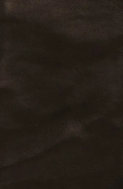 TOTEME Lambskin Leather Opera Gloves