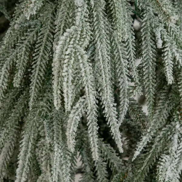 NEARLY NATURAL 6' Pre Lit Artificial Flocked Down Swept Tree