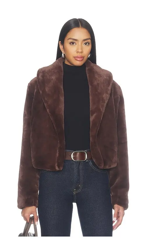 Blanknyc Faux Fur Teddy Coat In Brown