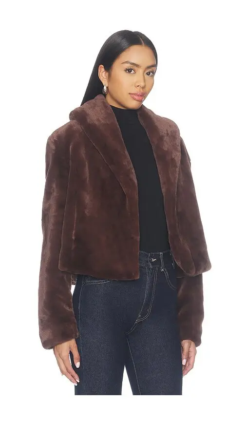 Blanknyc Faux Fur Teddy Coat In Brown