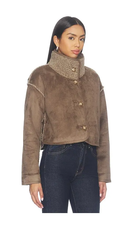 Velvet By Graham & Spencer Esme Jacket In Brown