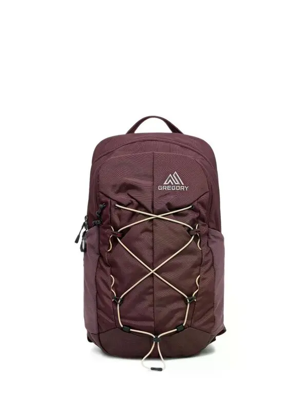 GREGORY Terros 20l Bungee-cord Backpack