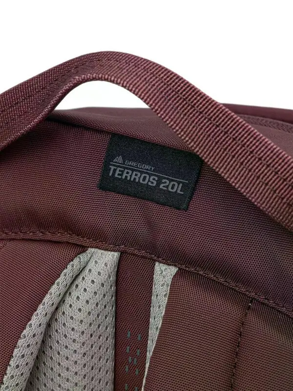 GREGORY Terros 20l Bungee-cord Backpack