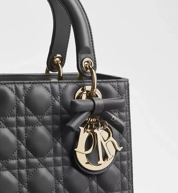 Dior Medium Lady Bag - Gray
