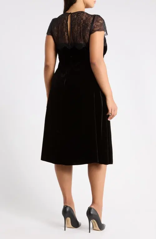 Chelsea28 Lace And Velvet Midi Dress