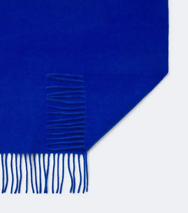 THE FRANKIE SHOP Allyson Fringed Virgin Wool Scarf