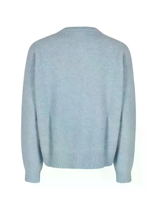 Max Mara Tuono Wool Sweater