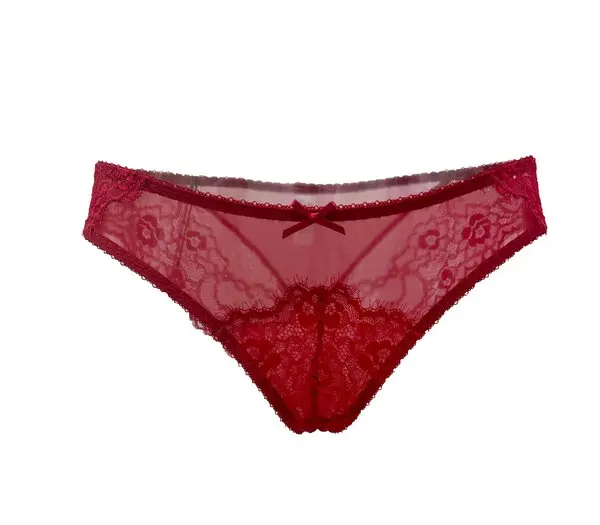 CAROL COELHO Ruby Nocturne Lace & Mesh Bikini Panty - Red