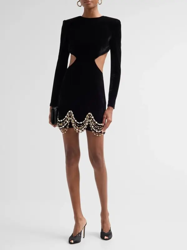 PatBO Maria Velvet Embroidered Mini Dress
