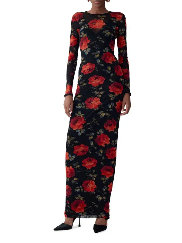 Carolina Herrera Rose-print Mesh Maxi Dress