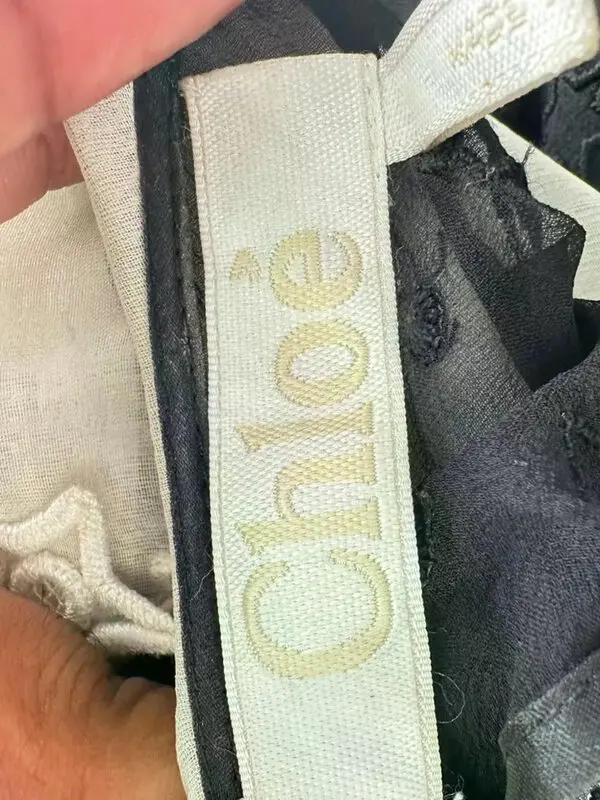 Chloé Embroidered Lace Dress