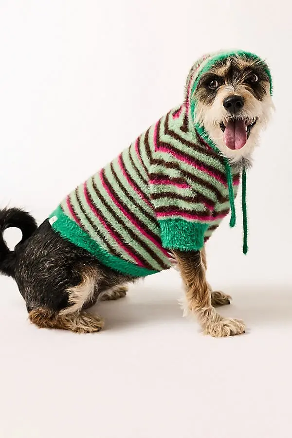 Anthropologie Eyelash Striped Pet Hoodie - Multi