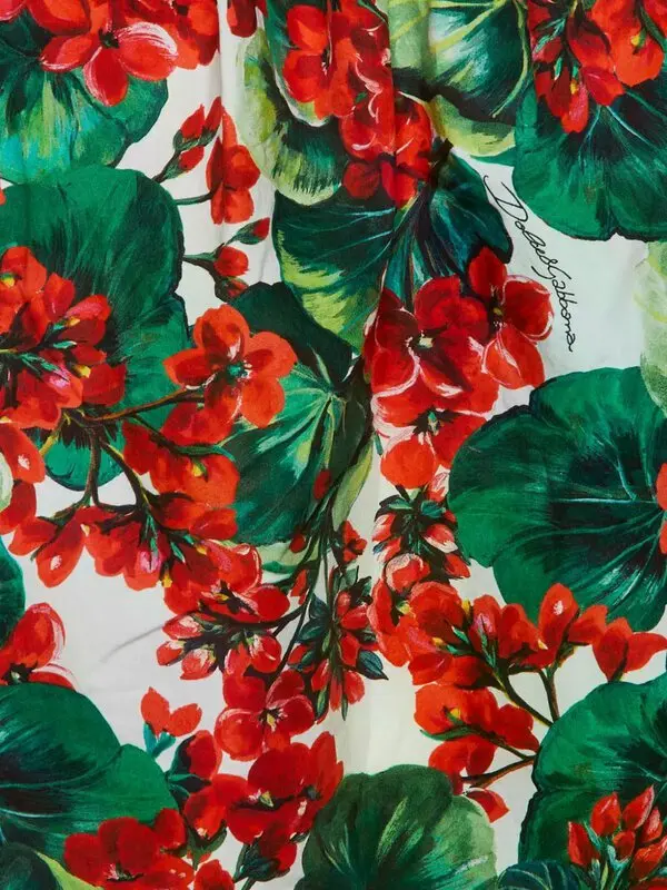 Dolce & Gabbana Floral-print Off-the-shoulder Top