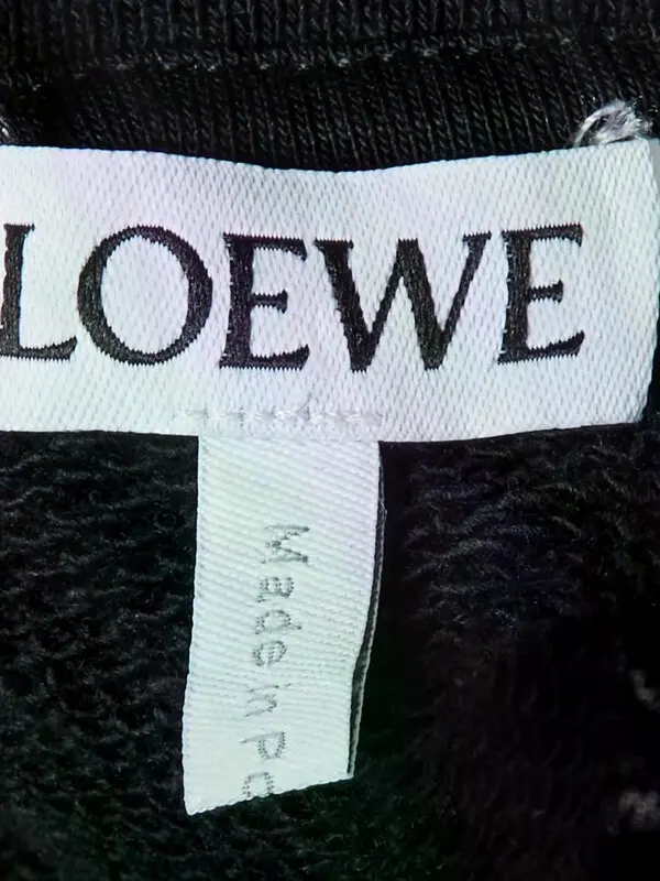 Loewe Herbarium Logo-embroidered Hoodie
