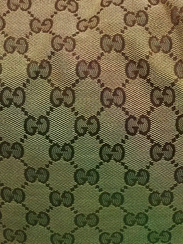 Gucci Medium Full Moon Gg Canvas Bag