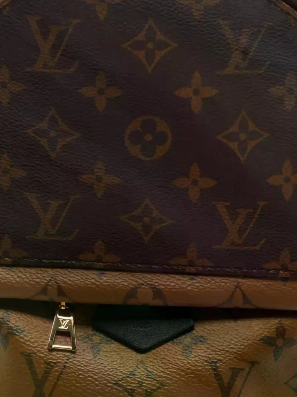 LOUIS VUITTON 2019 Palm Springs Monogram Reverse Backpack
