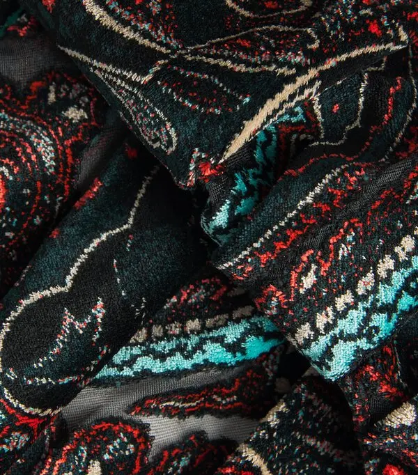 Etro Appliqué-mesh Maxi Dress