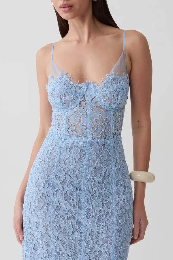 Meshki Ottilie Lace And Mesh Midi Dress