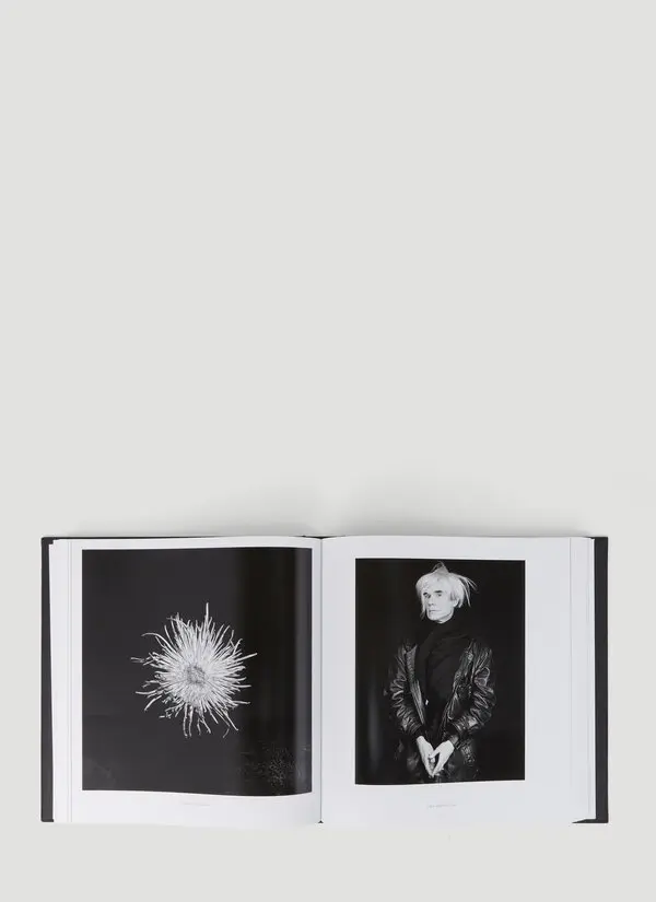 PHAIDON Robert Mapplethorpe