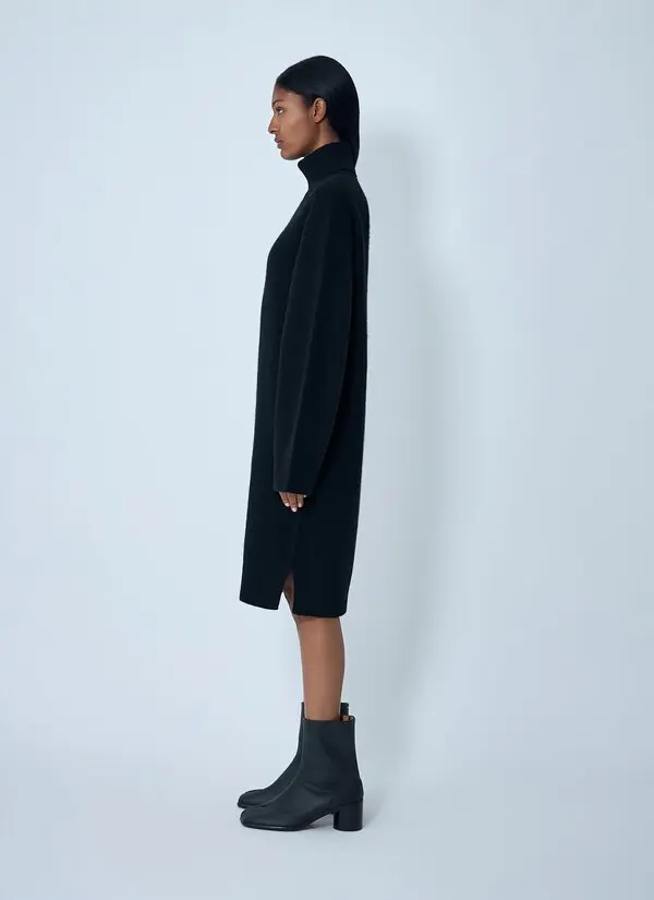 TOTEME Turtleneck Mini Dress