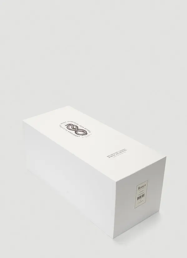 SÉANCE Deleuze Candle
