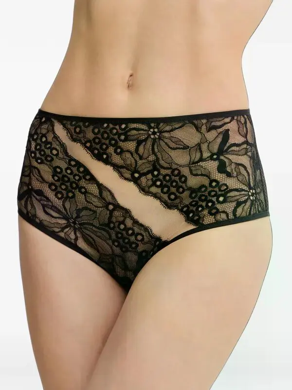 Chantelle Roxane Floral-lace Mesh Briefs - Black