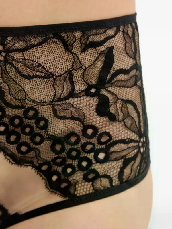 Chantelle Roxane Floral-lace Mesh Briefs