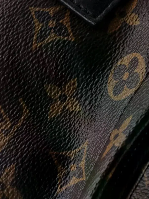 LOUIS VUITTON Palm Springs Monogram Canvas Pm Backpack - Brown