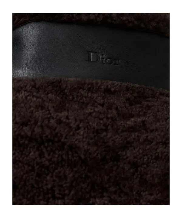 Dior Dioralps Montaigne Jacket