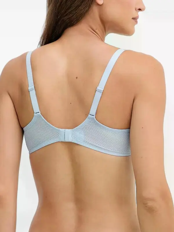 Chantelle Fleurs Floral-embroidered Mesh Bra
