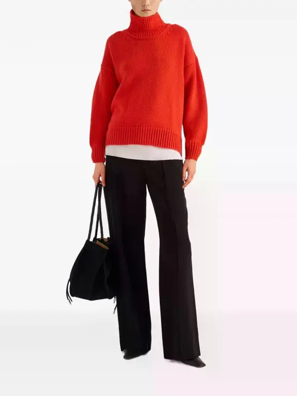Proenza Schouler Oren Turtleneck In Cashmere Wool