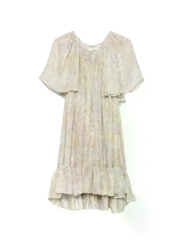 Chloé Floral-print Pleated Mini Dress - Neutrals