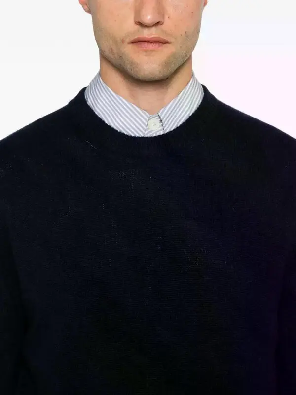 DIANA STUDIO Crew-neck Ribbed-trim Sweater
