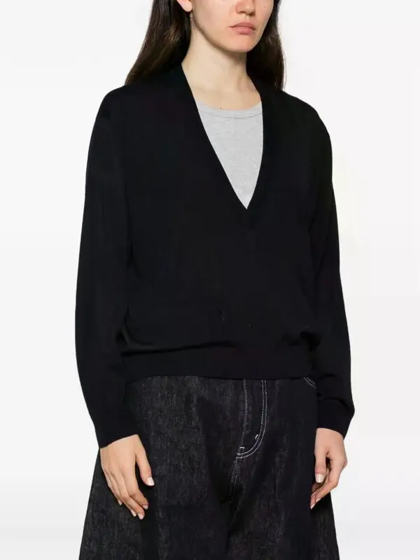 Liviana Conti V-neck Sweater