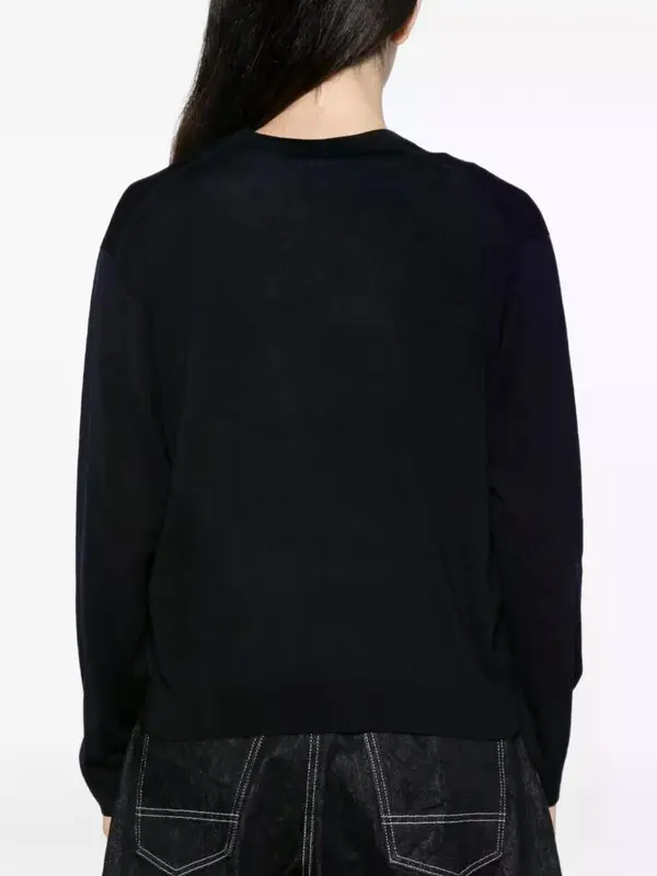 Liviana Conti V-neck Sweater