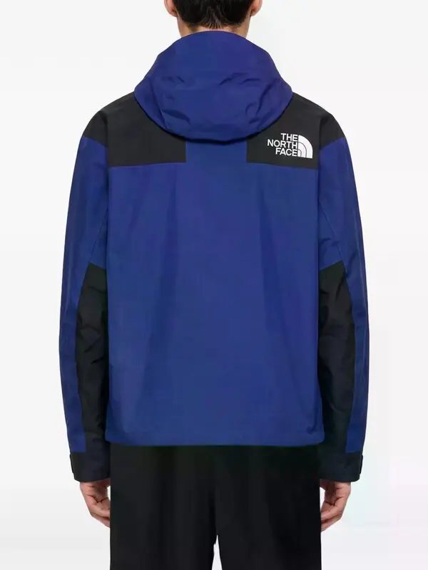 The North Face Gore-tex® Mountain Jacket