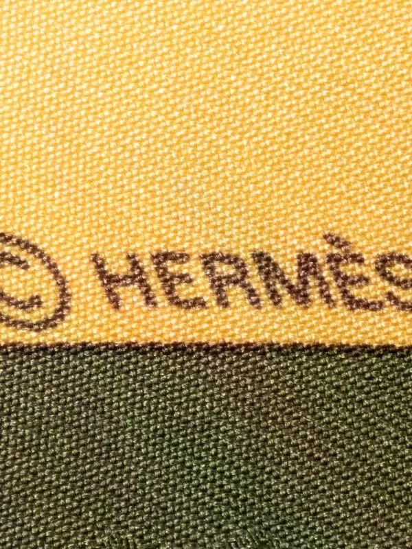 Hermès Plumes Et Grelots Silk Scarf
