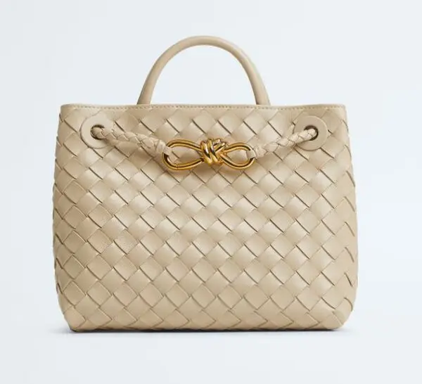 Bottega Veneta Andiamo Small Bag - Multicolor