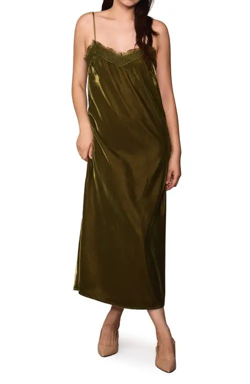 MELLODAY Lace Trim Velvet Midi Slipdress - Olive
