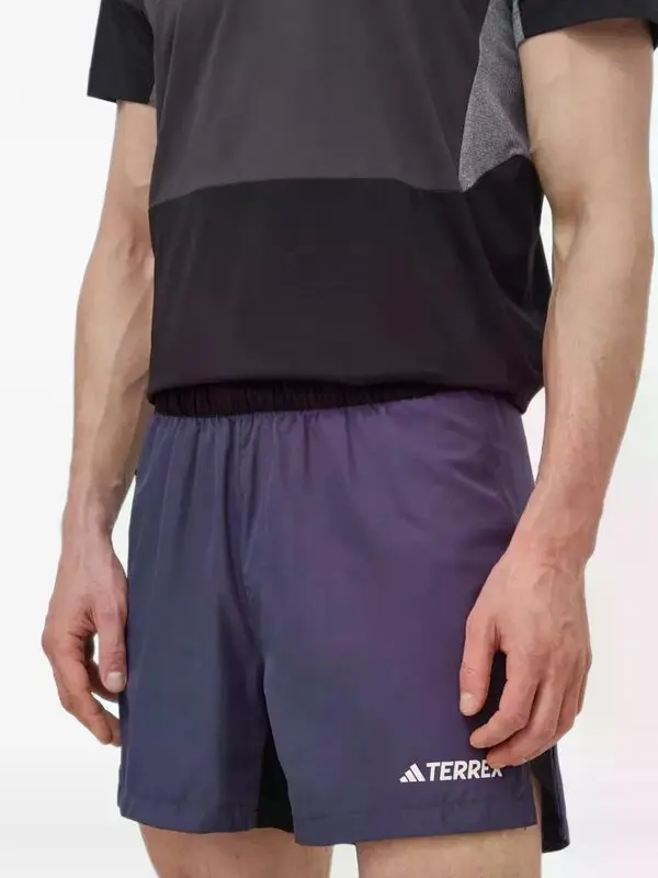 Adidas Terrex Multi Shorts