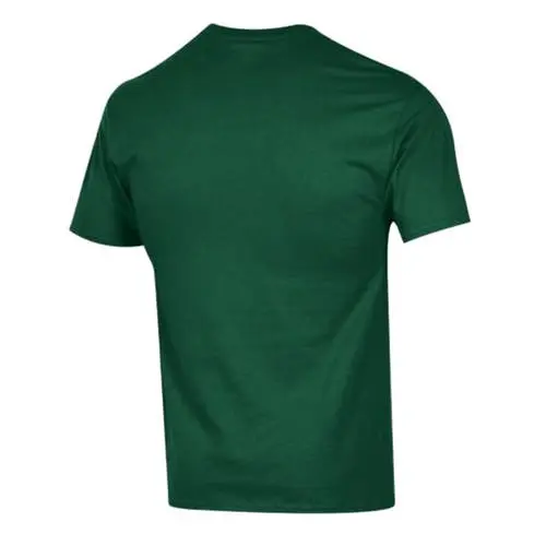 Champion Bay Packers Arch Over Logo T-shirt