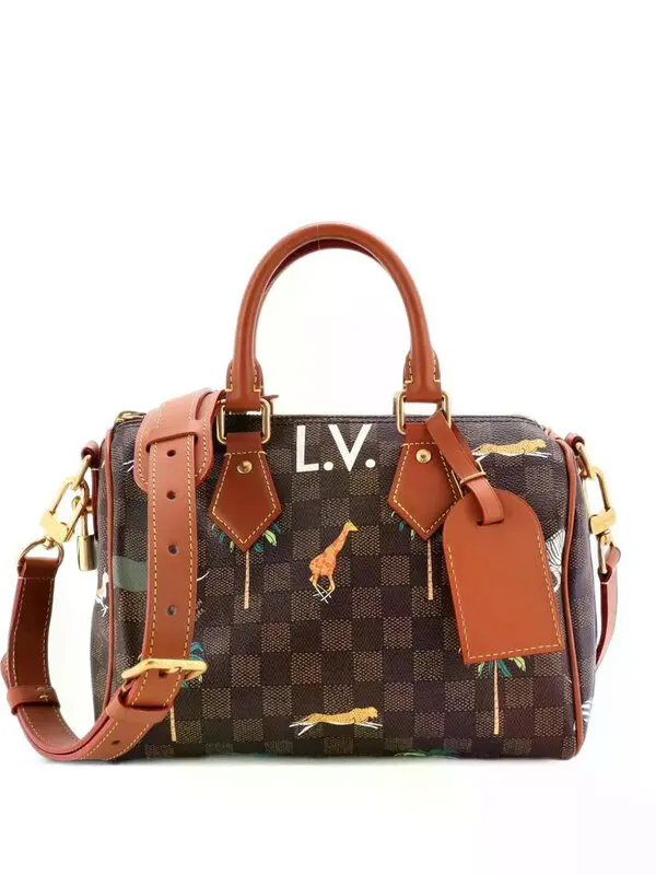 LOUIS VUITTON Speedy Bandouliere Bag Limited Edition The Darjeeling Damier 25 Satchel - Brown