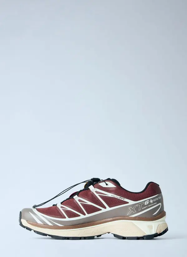 SALOMON Xt-6 Gtx Sneakers - Brown